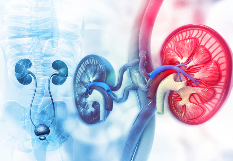 Ureteral Reconstruction | Female and Reconstructive Urologist | Dr ...